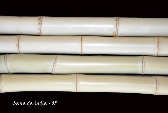 12 Varas de Bambu Cana da Índia Nº 3 Tratado - Ø 2,5 a 3,4 x 280 a 300 ...