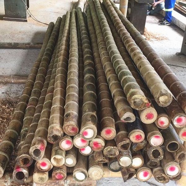 Kit Com 12 Peças De Bambu Guadua Angustifolia Tratado Ø 4 A 5 X 300 Cm