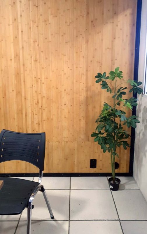 Kit 5 Chapas De Bambu 200cm X 61cm X 10mm