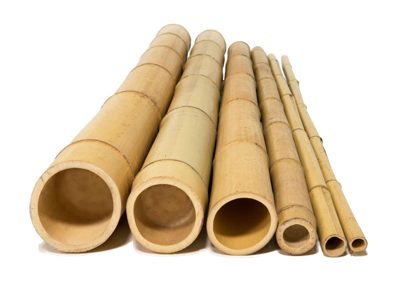 Bambu Market - O Melhor Bambu Tratado Do Brasil